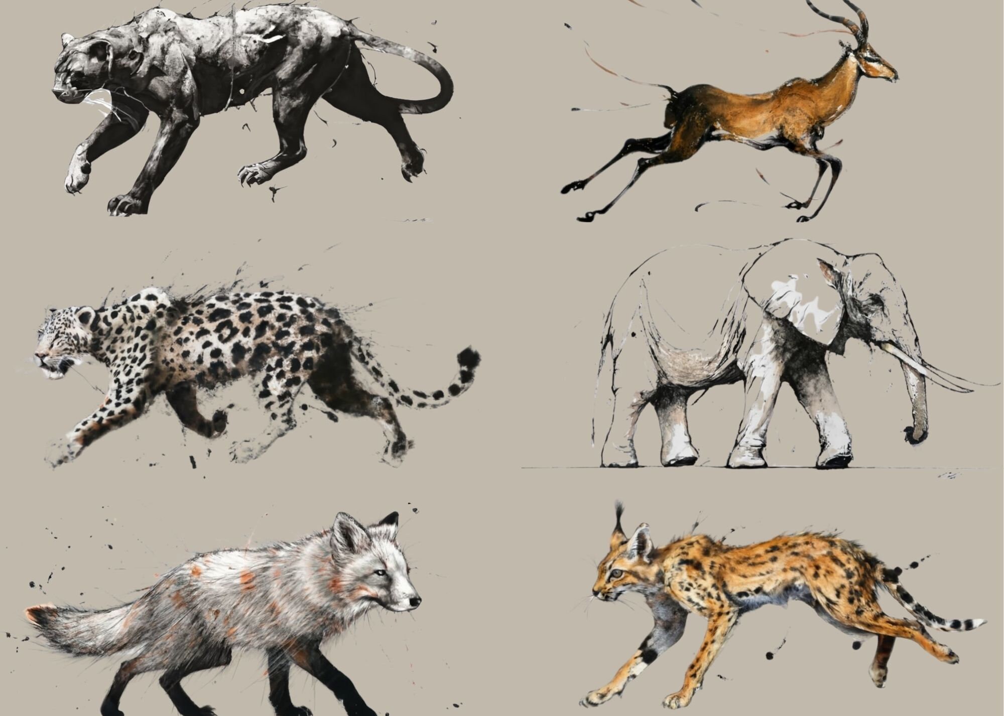 Wild Animal Prints Safari Animal Digital Prints 23 Pen & Ink Drawn ...