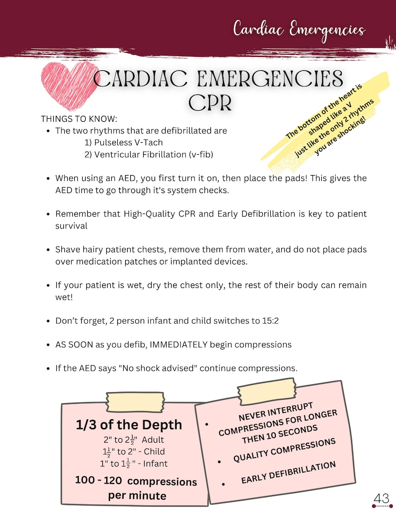 Digital Download - EMT and NREMT Study Guide From Before the Call - Etsy