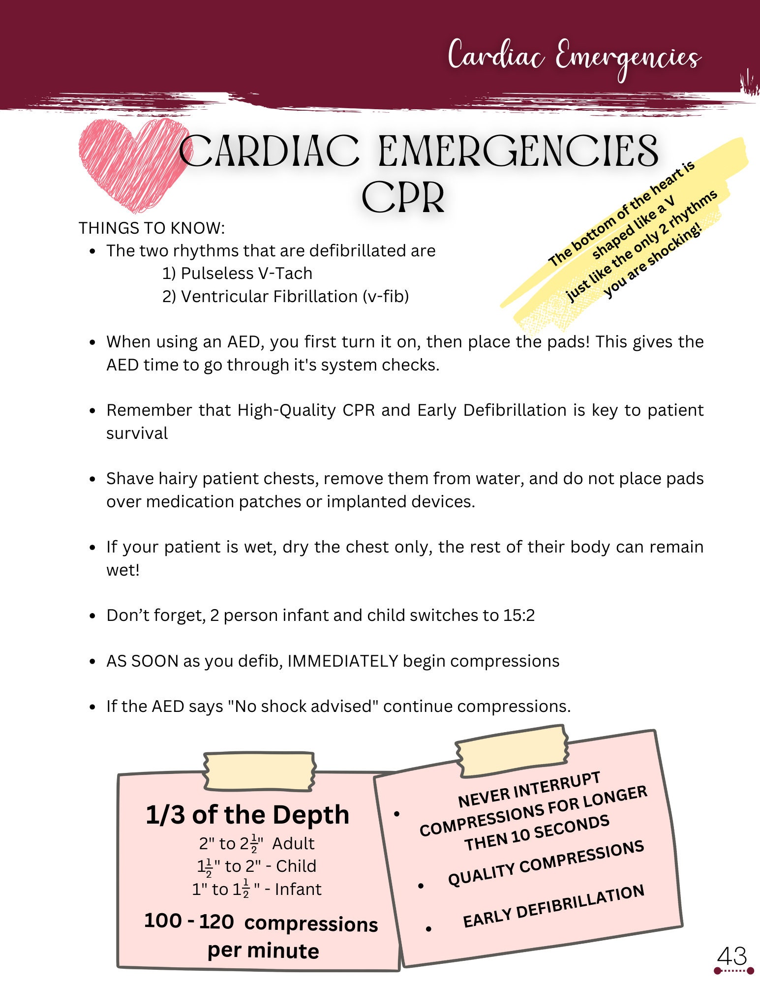Digital Download - EMT and NREMT Study Guide From Before the Call - Etsy
