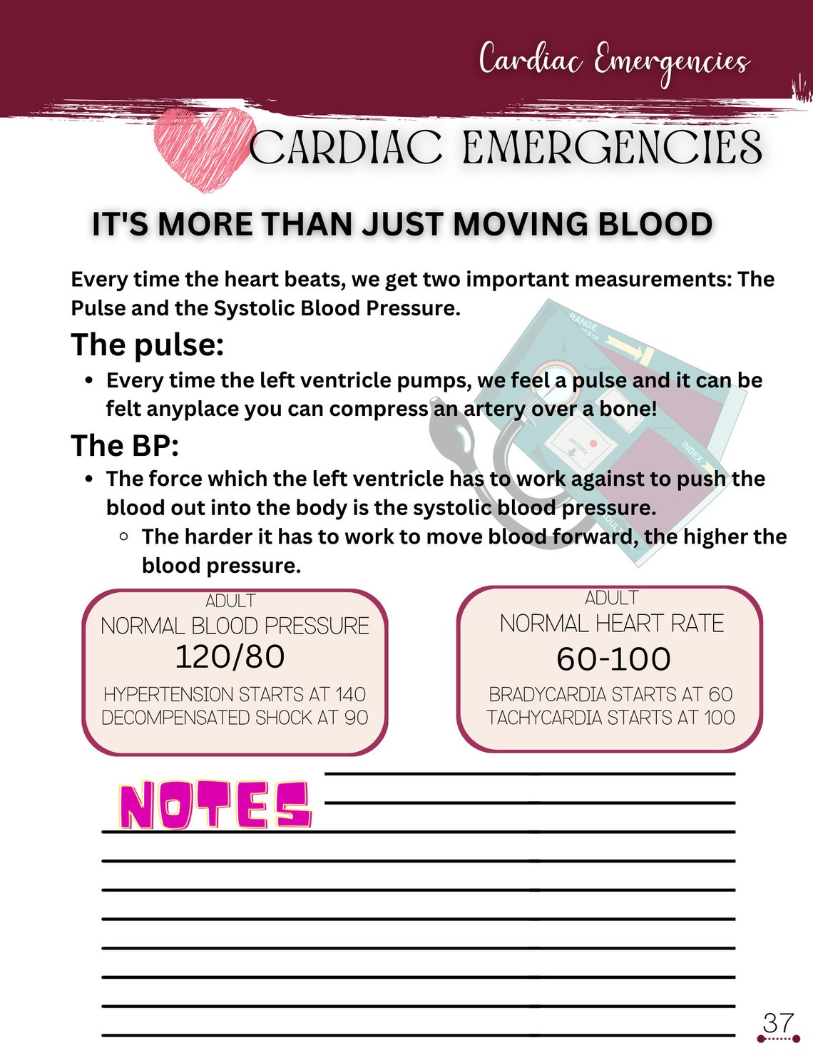 Digital Download - EMT and NREMT Study Guide From Before the Call - Etsy