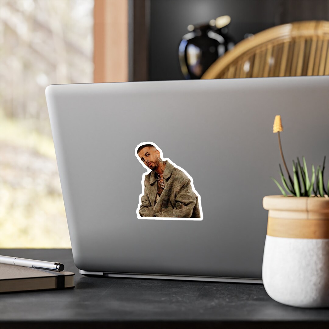 Rauw Alejandro Stylish Vintage Sticker Artistic Musician Fan Decal - Etsy