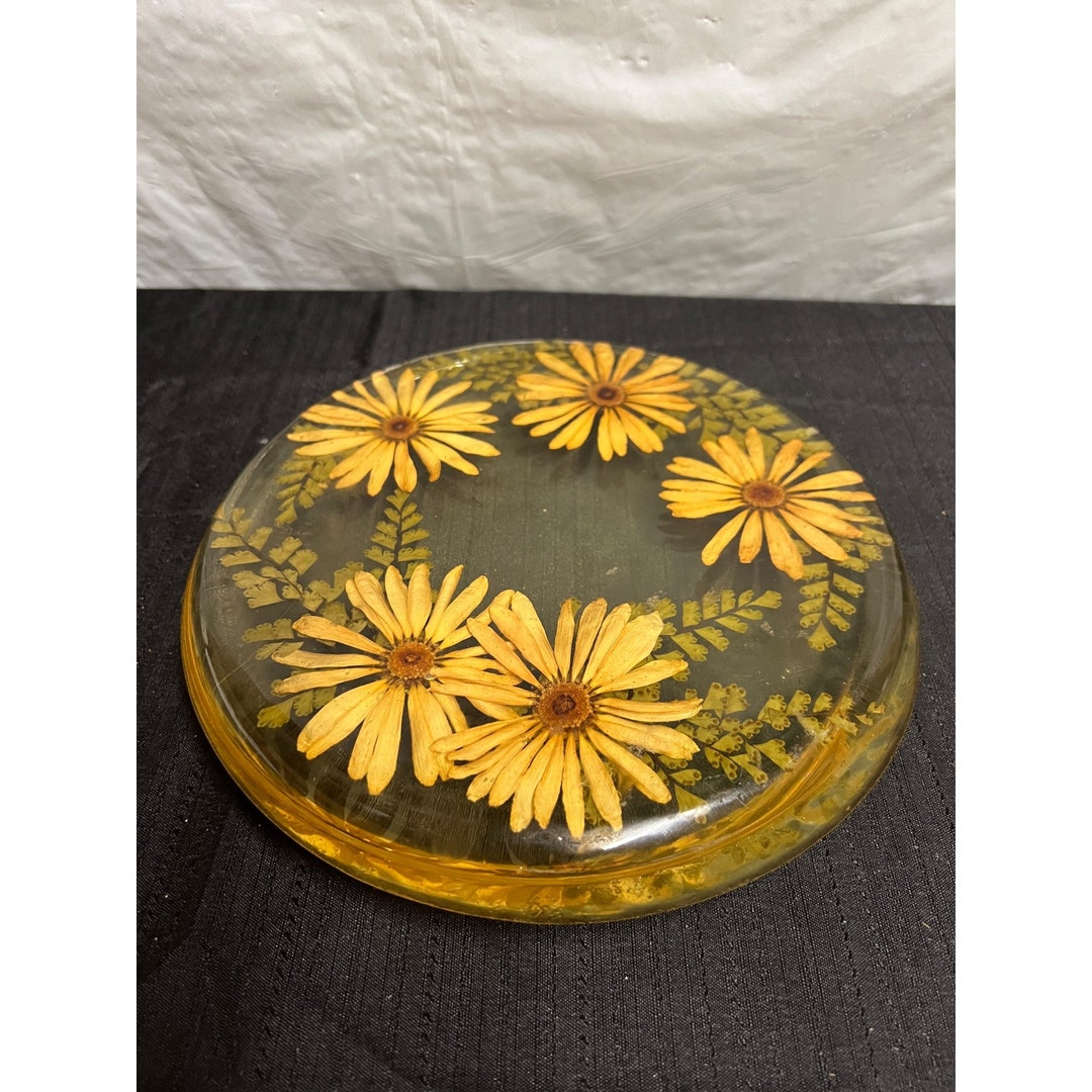 Vintage MCM Resin Pressed Dry Flowers Trivet 8.5 in Diameter - Etsy