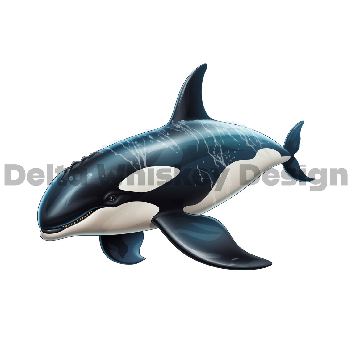 Killer Whale Svg, Orca Clipart, Ocean Svg, Fish Png, Silhouette, Animal ...