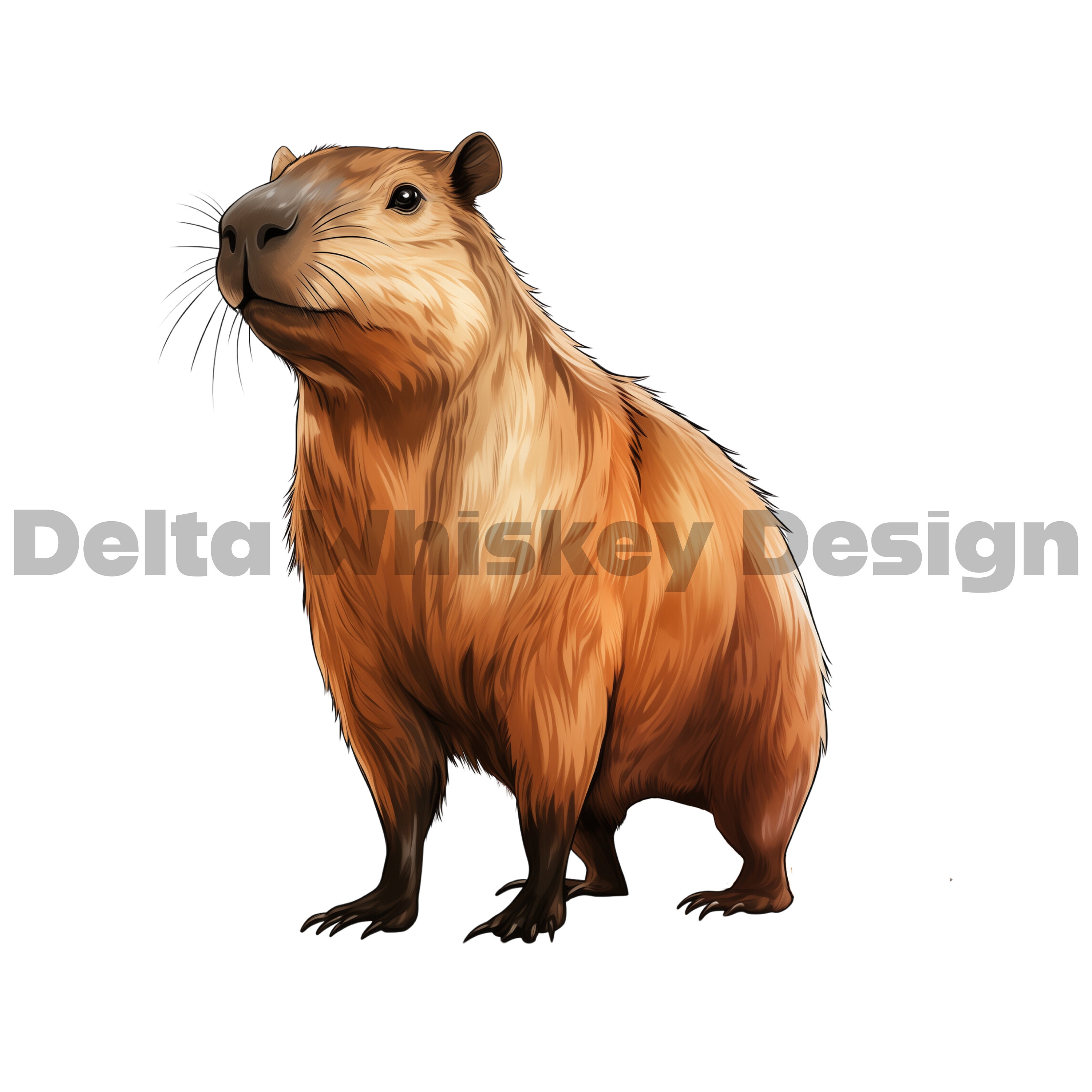 Capybara Svg, Capybara Clipart, Animal Clipart, Animal Png, Silhouette ...