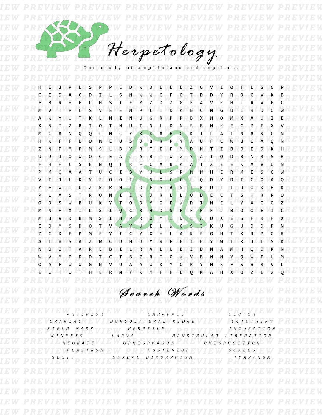 DIGITAL - Zoology Advanced Word Search 3-pack! - Etsy