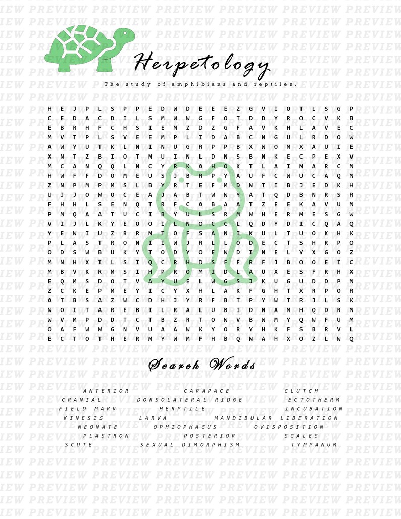 DIGITAL - Zoology Advanced Word Search 3-pack! - Etsy