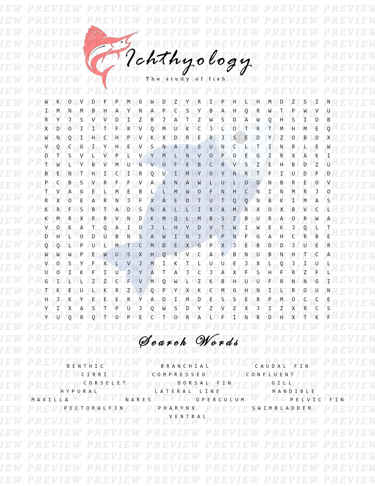 DIGITAL - Zoology Advanced Word Search 3-pack! - Etsy