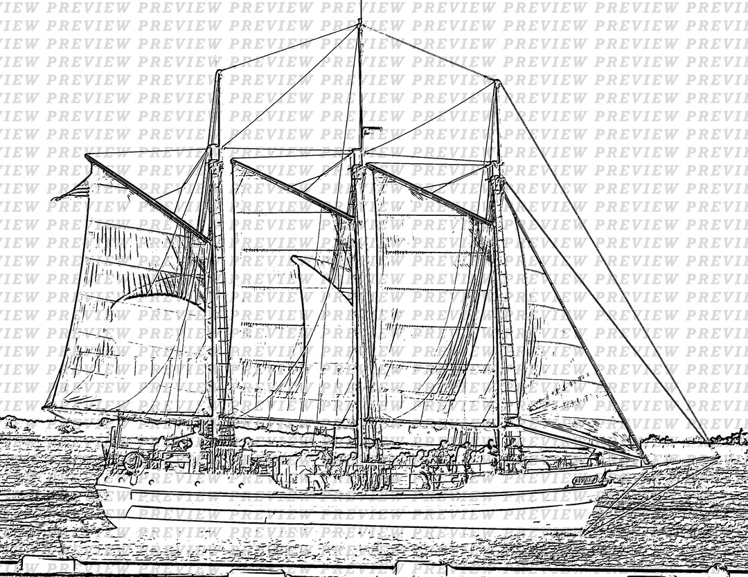 DIGITAL - Discover Series - Charleston SC Coloring Pack (5 Images ...