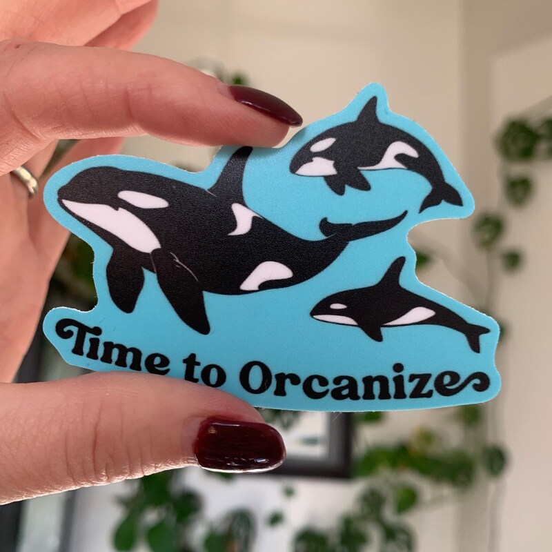 Orca Decal - Etsy