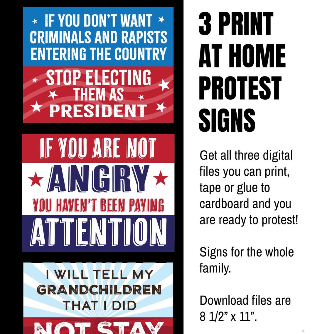 Set of 3 Digital Protest Signs | Printable Political Signs | Anti-trump ...