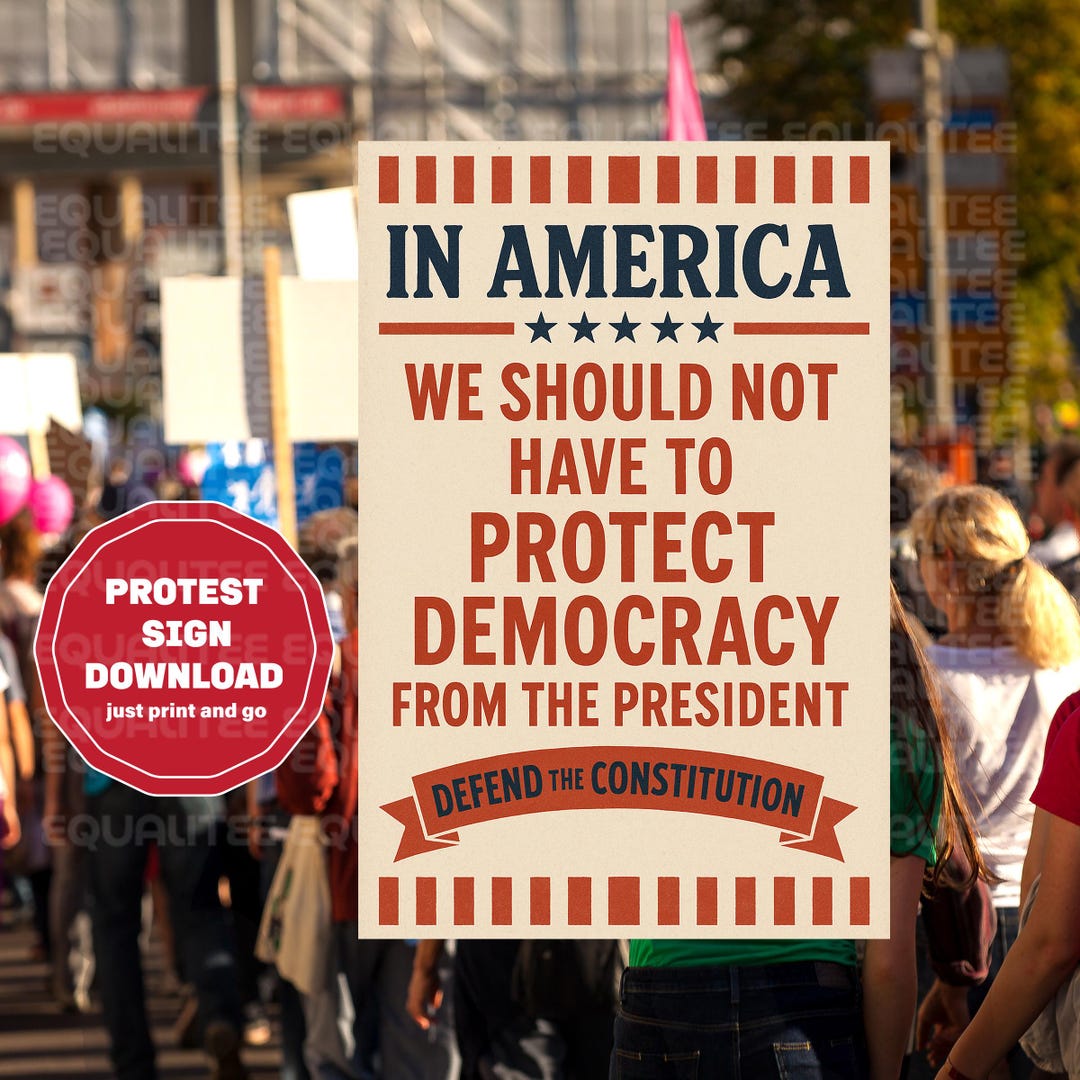 No Kings Protest Sign in America We Should Not Have to Protect ...