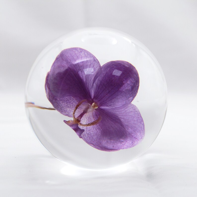 Real Orchid Paperweight,phalaenopsis Resin Paperweight,gift for Her ...