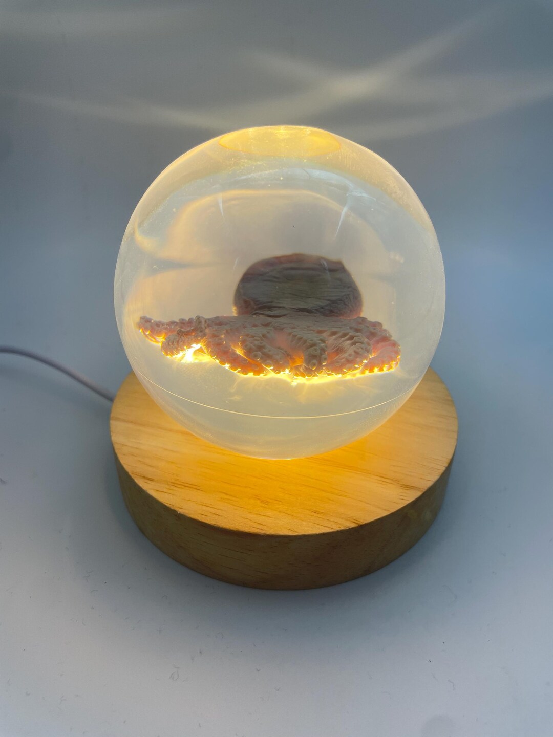 Authentic Octopus Resin Paperweights, Handmade Marine-themed Artwork ...