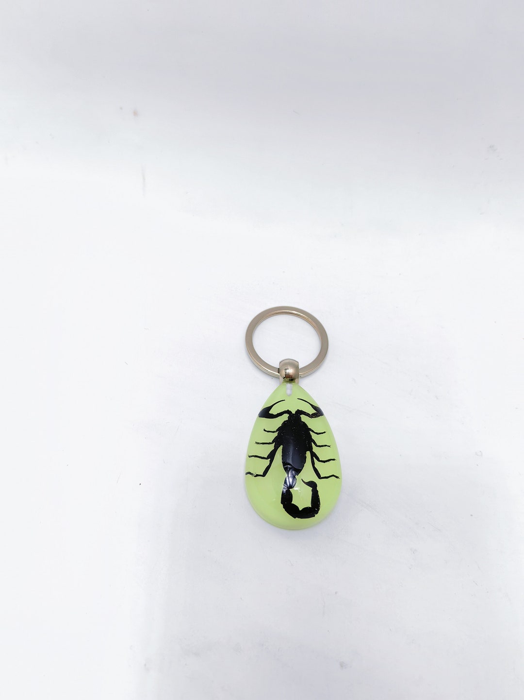 Black Scorpion Keychain With Real Insect Sample, Glow in the Dark ...