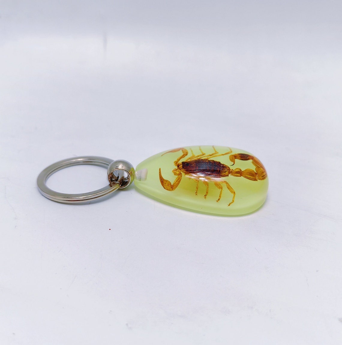 Scorpion in Yellow Resin Keyring Keychain Real Insect Scorpion Encased ...