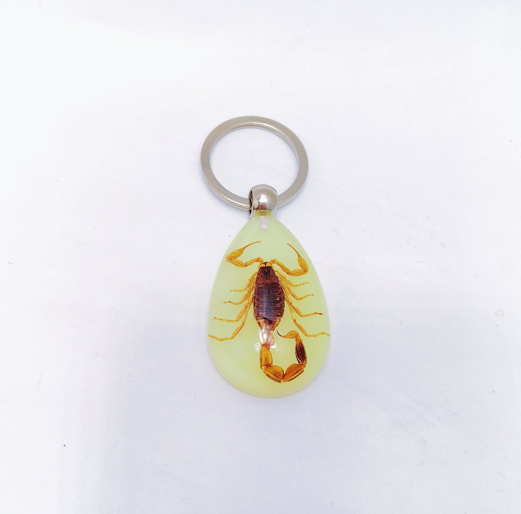 Scorpion in Yellow Resin Keyring Keychain Real Insect Scorpion Encased ...