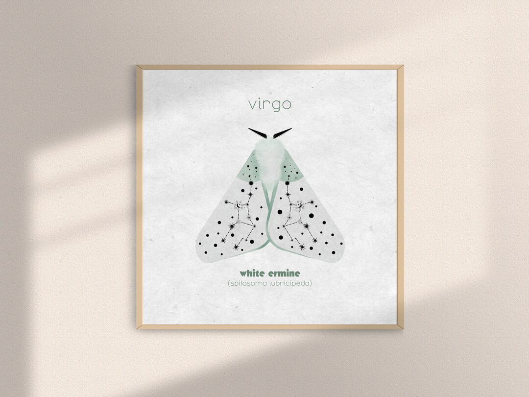 Astrology Zodiac Moth Art Print for Virgo - Etsy