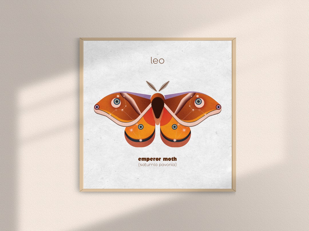 Astrology Zodiac Moth Art Print for Leo - Etsy