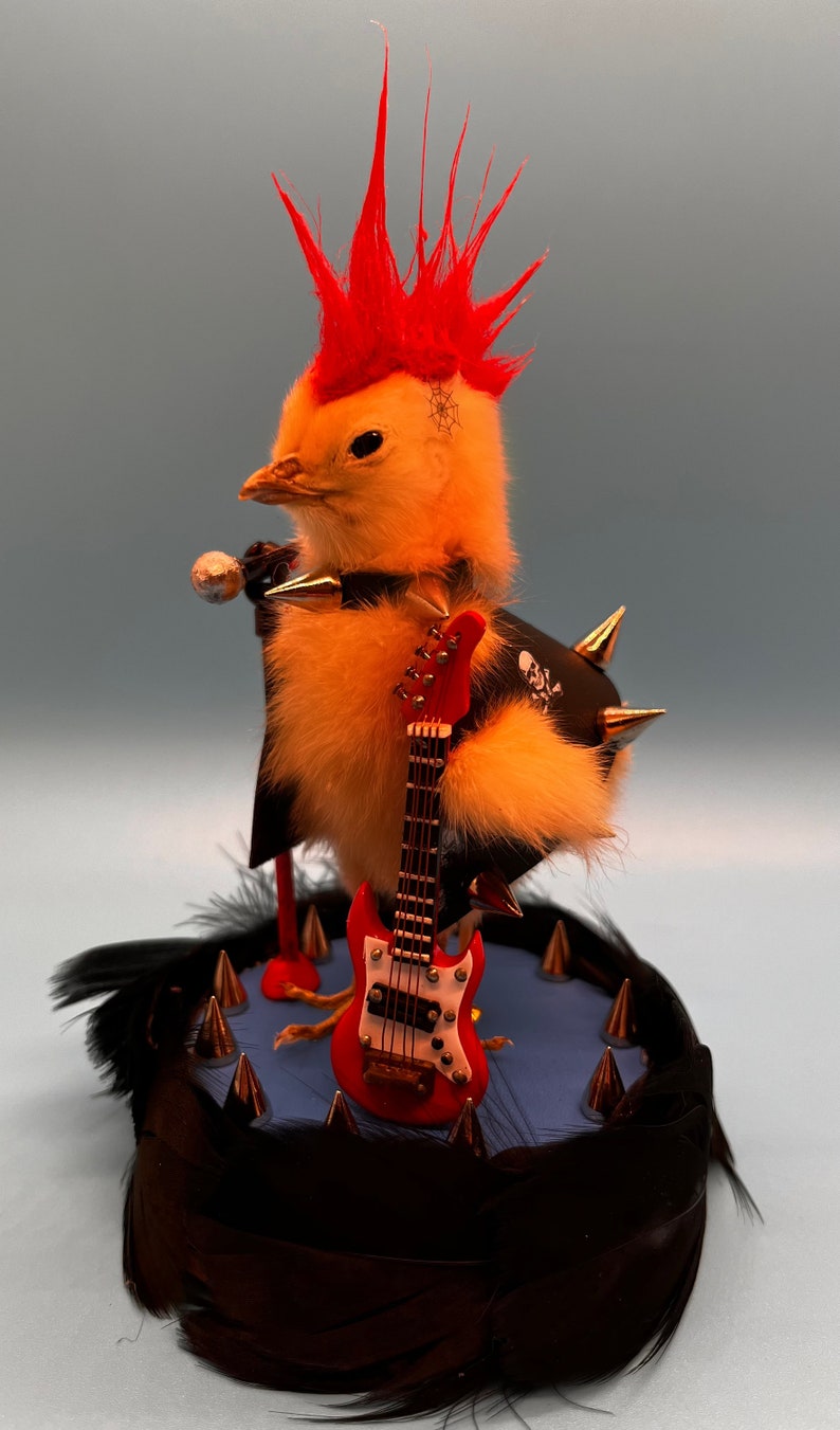 Sick Chick Punk Taxidermy Chicken - Etsy