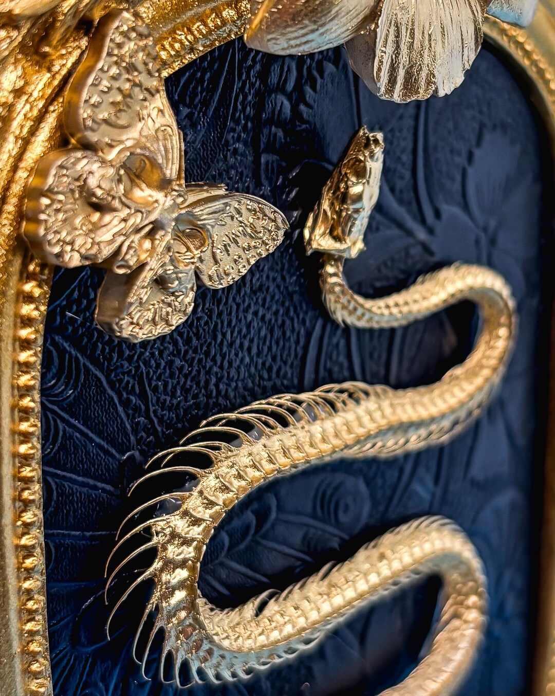 FREE SHIPPING Real Snake Skeleton Taxidermy in Gold in Vintage Inspired ...