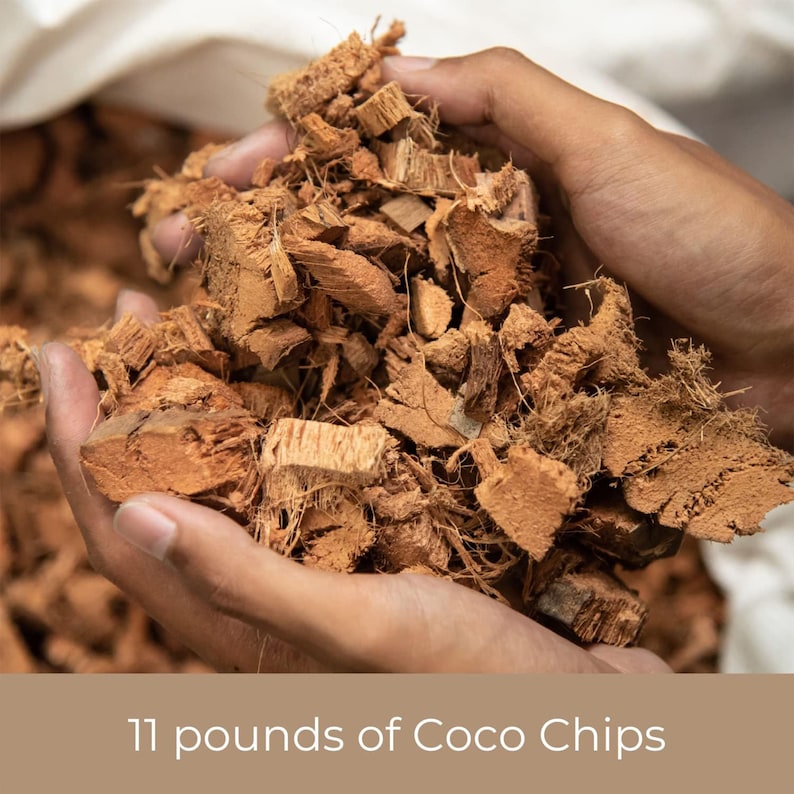 Coco Chip Compressed Chunky Coconut Substrate for Potting Soil Aeration ...