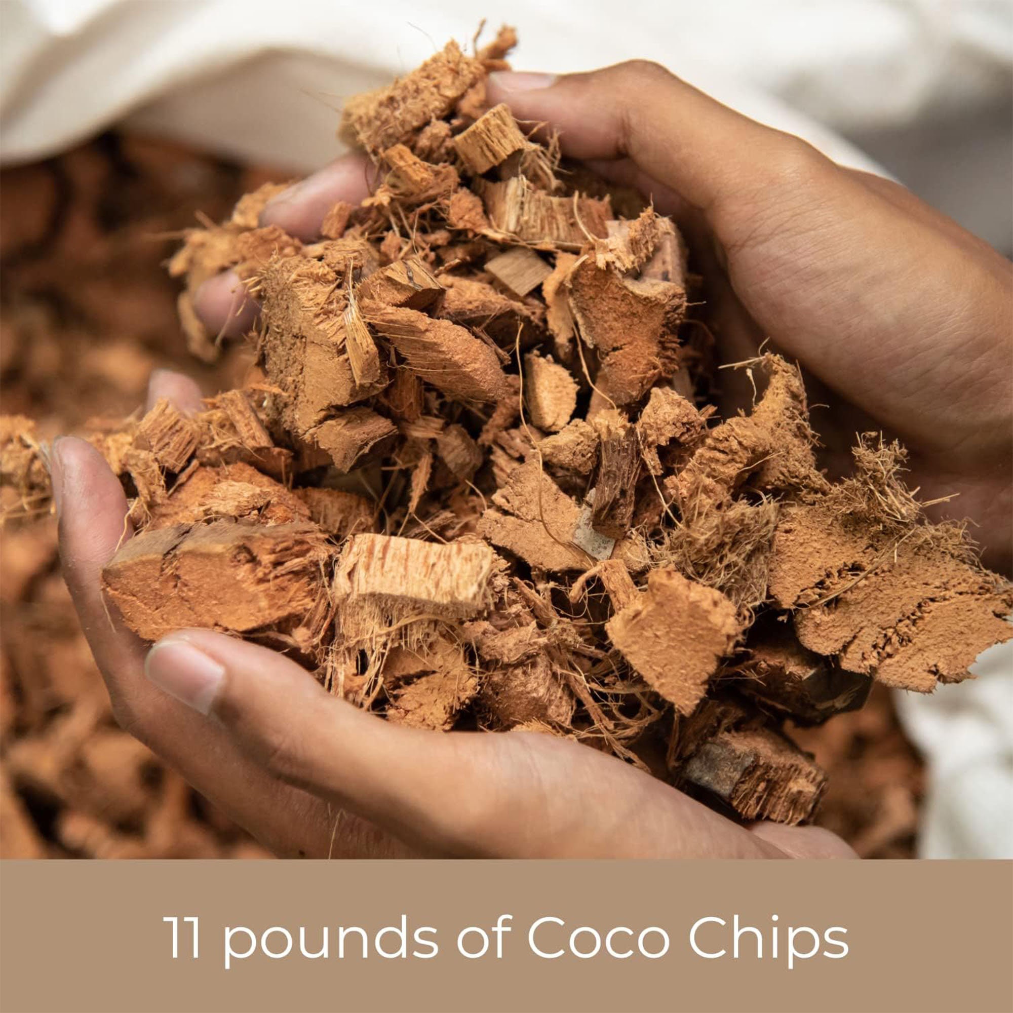 Coco Chip Compressed Chunky Coconut Substrate for Potting Soil Aeration ...
