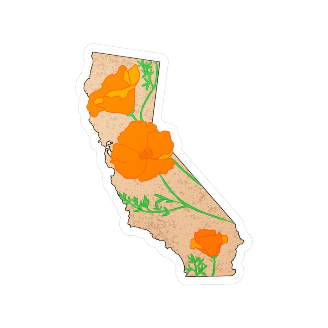 California Poppies Sticker - Etsy