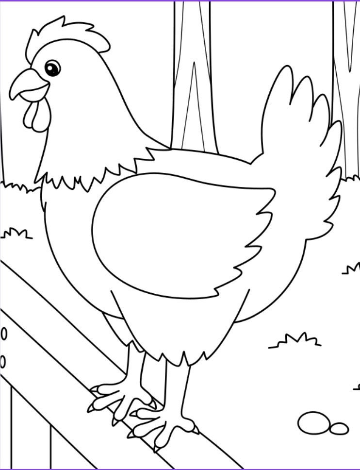 Chicken Lesson Etsy