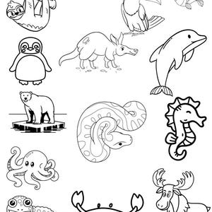 Habitat Lesson - Etsy