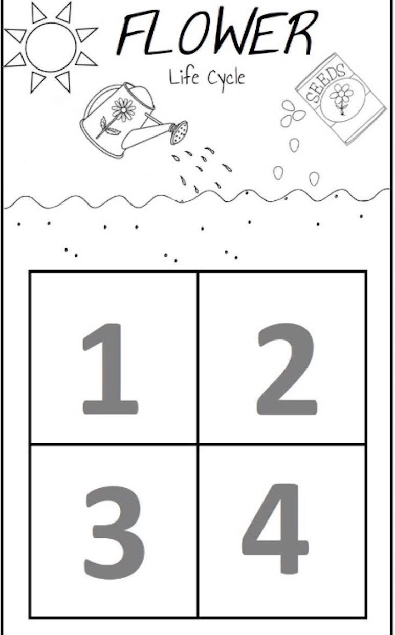 Plant Journaling and Curriculum - Etsy