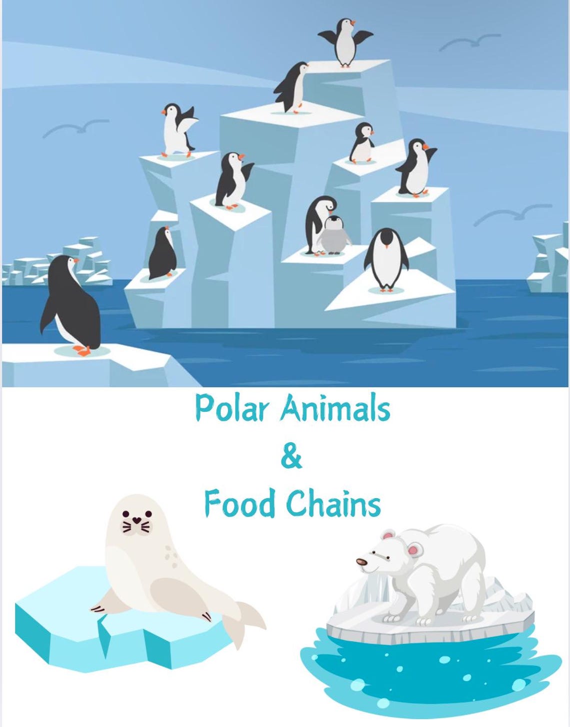 Polar Animals and Food Chains - Etsy