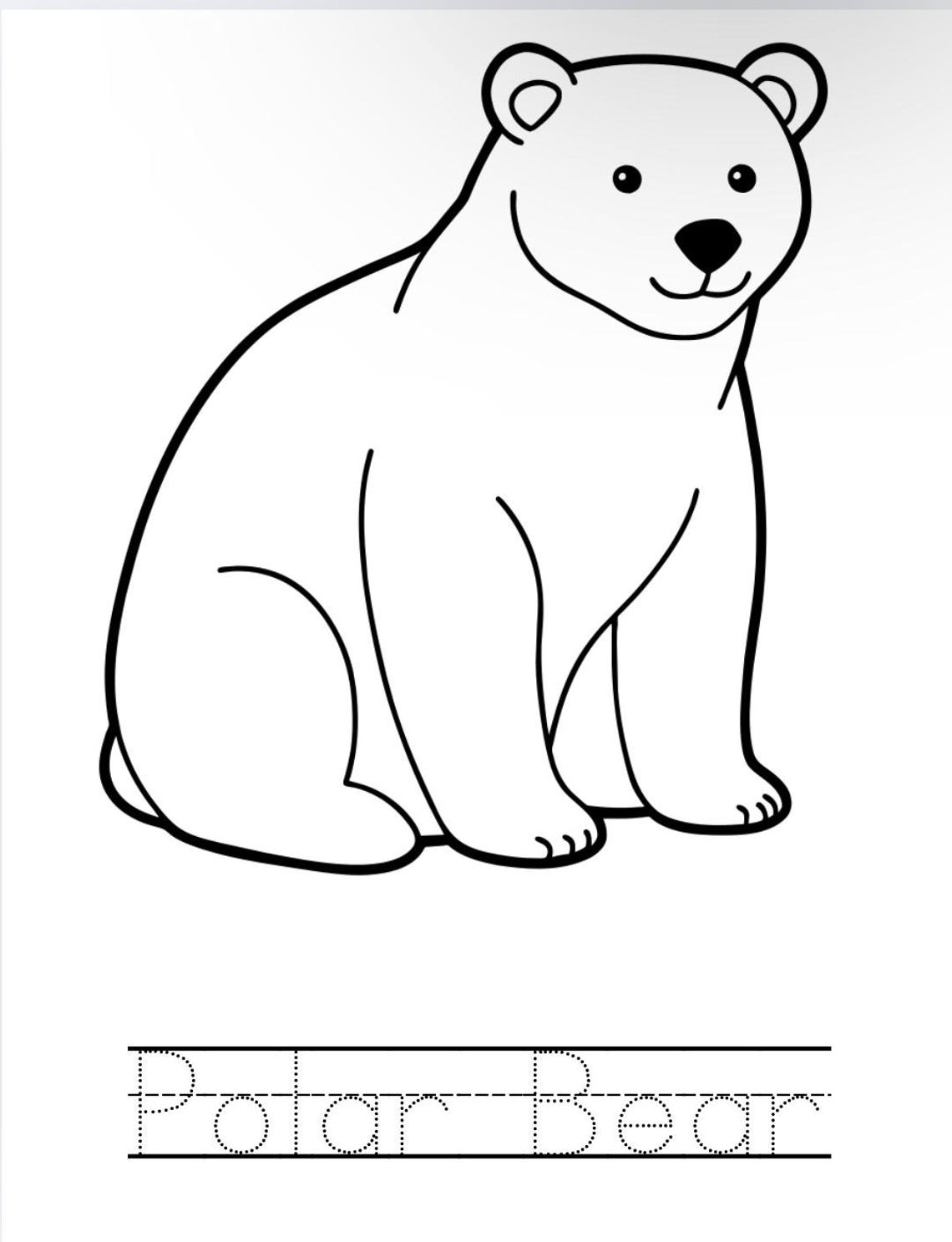 Polar Animals and Food Chains - Etsy