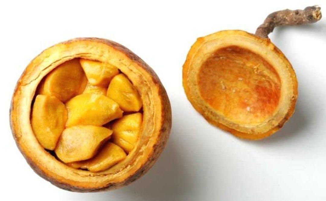 Mabunga saba Fruit Pulp - Etsy