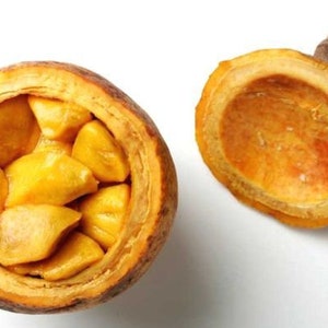 Mabunga saba Fruit Pulp - Etsy