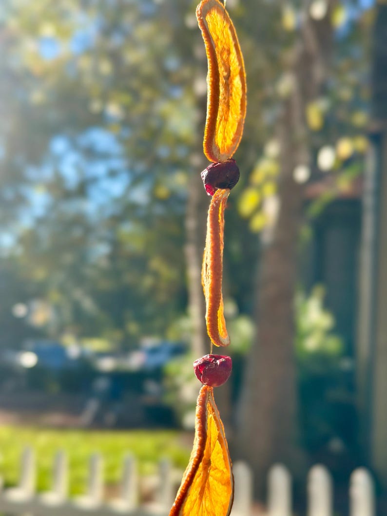 72 Orange and Cranberry Garland - Etsy