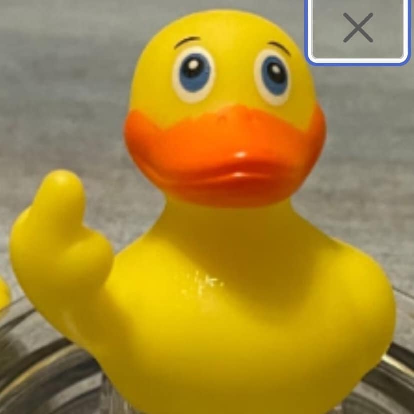 New Mini Middle Finger Rubber Duck - Etsy