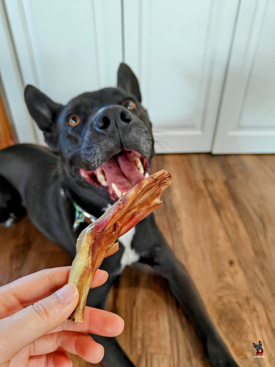 Duck Feet Dog Treats - Single Ingredient Dog Treats, Dog Collagen, Dog ...