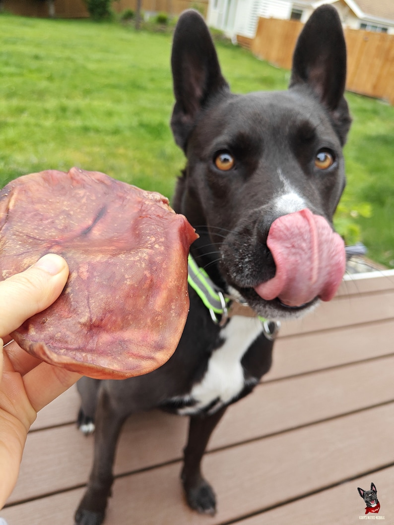 Pig Ear Dog Treats Memorial Day Sale, Air Dried Single Ingredient, Hand ...