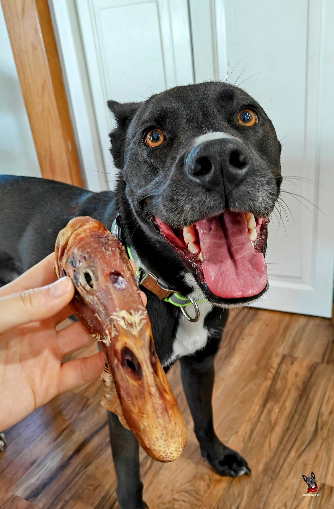 Duck Head Dog Treats - Air Dried / Dehydrated Single Ingredient Treats ...