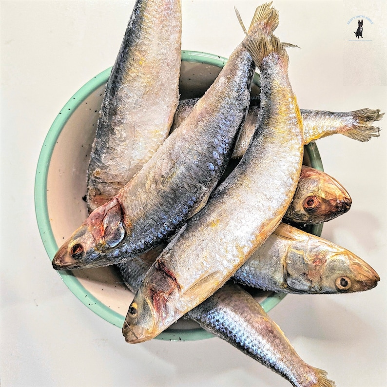 Sardine Dog Treats - Sardine Whole Fish, Sardine for Dogs, Fish for ...