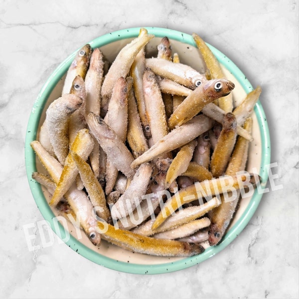 Fish Heads Dog - Etsy
