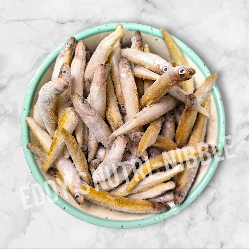 Fish Heads Dog - Etsy