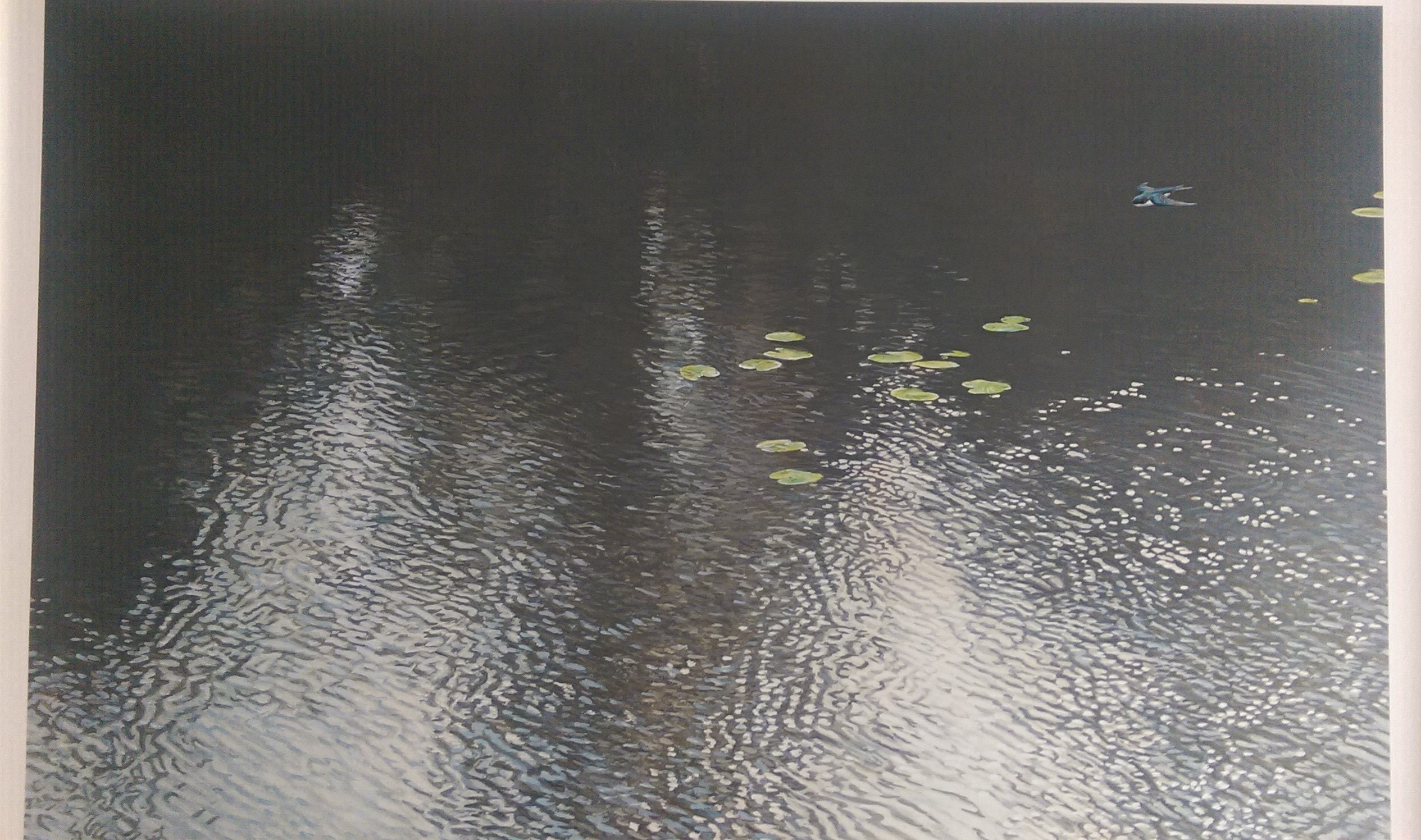 Robert Bateman Tree Swallow Over Pond Limited Edition Print - Etsy