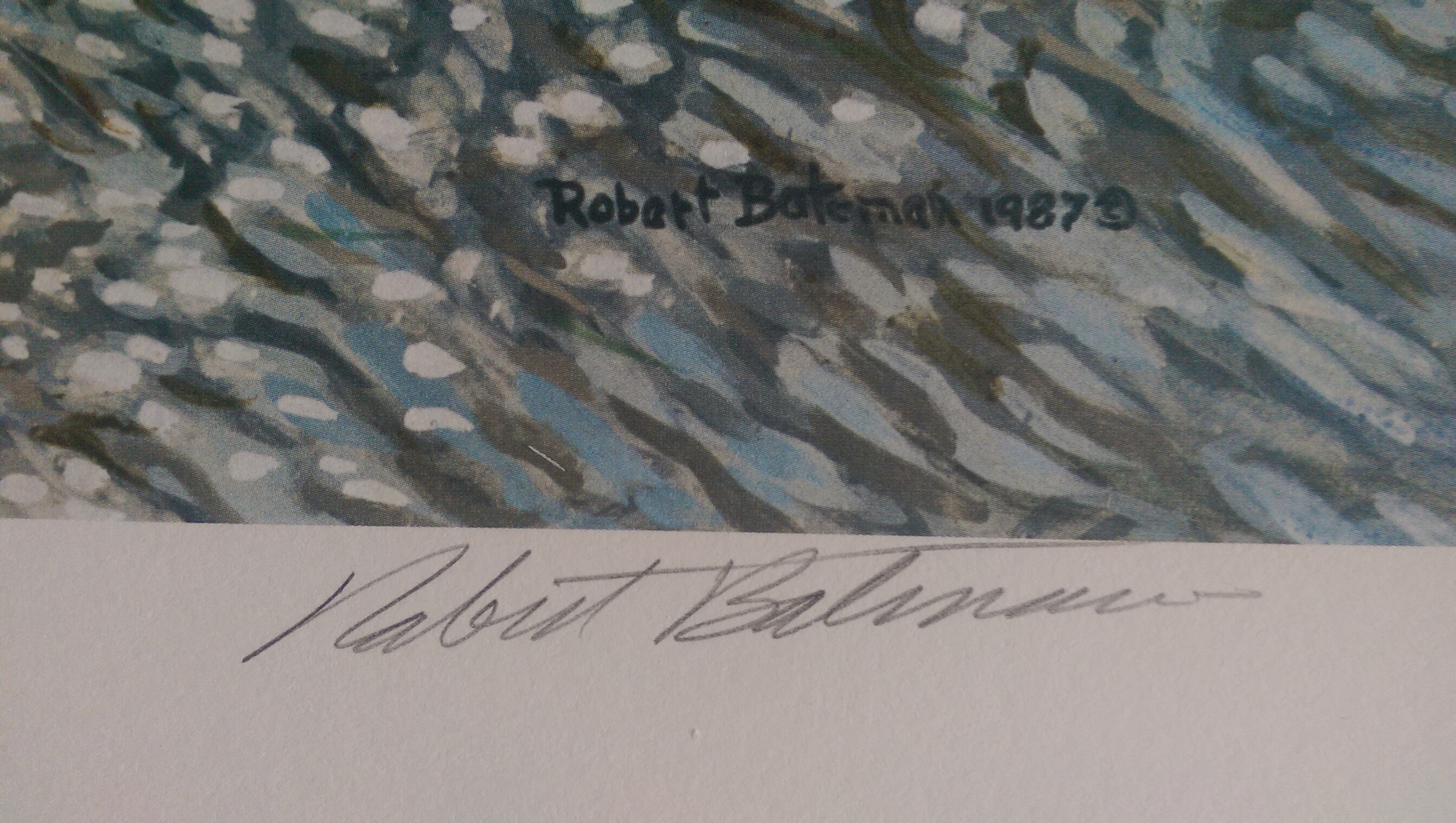 Robert Bateman Tree Swallow Over Pond Limited Edition Print - Etsy