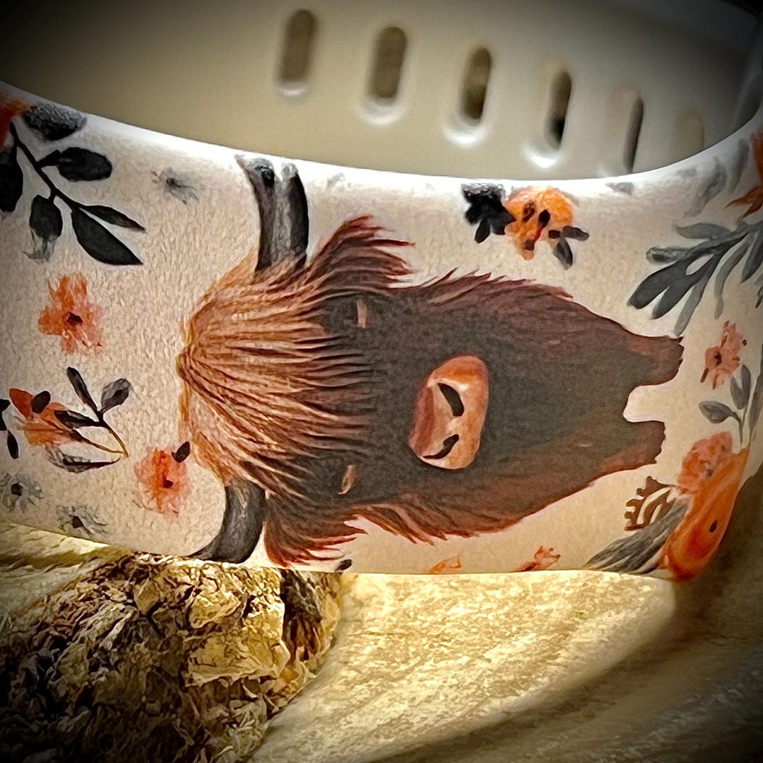 Highland Cow Watch Band Cow Watch Band Cows Watch Band Cowgirl Watch ...