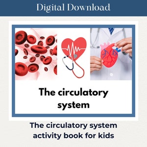 Circulatory System Activity Book for Kids; Human Heart Activity Book ...