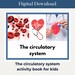 Circulatory System Activity Book for Kids; Human Heart Activity Book ...