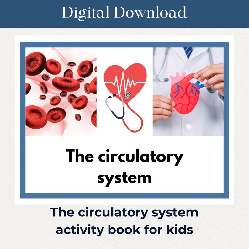 Circulatory System Activity Book for Kids; Human Heart Activity Book ...