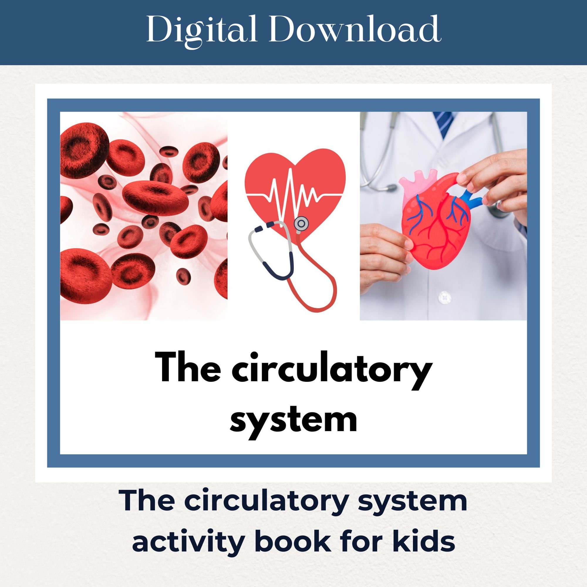 Circulatory System Activity Book for Kids; Human Heart Activity Book ...