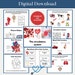 Circulatory System Activity Book for Kids; Human Heart Activity Book ...